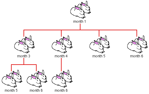 Fibonacci Sequence In Rabbit Population Fibonacci Sequence In Rabbit Population